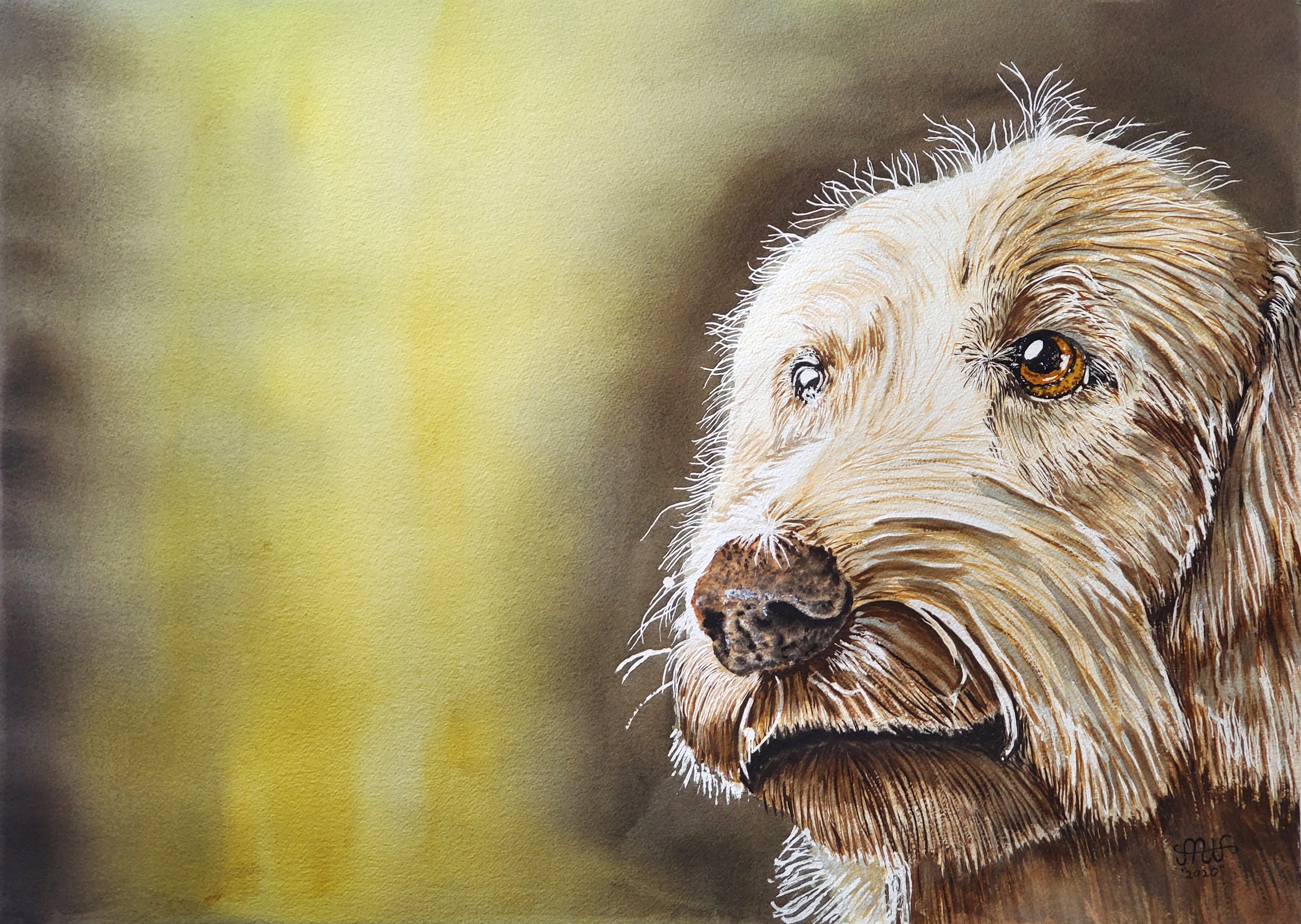 Al Wilke | Art League of Ocean City MD | Center for the Arts