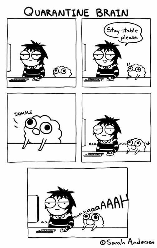 Let’s Talk About Stress, Baby. Let’s Talk About Quarantine. | Art ...