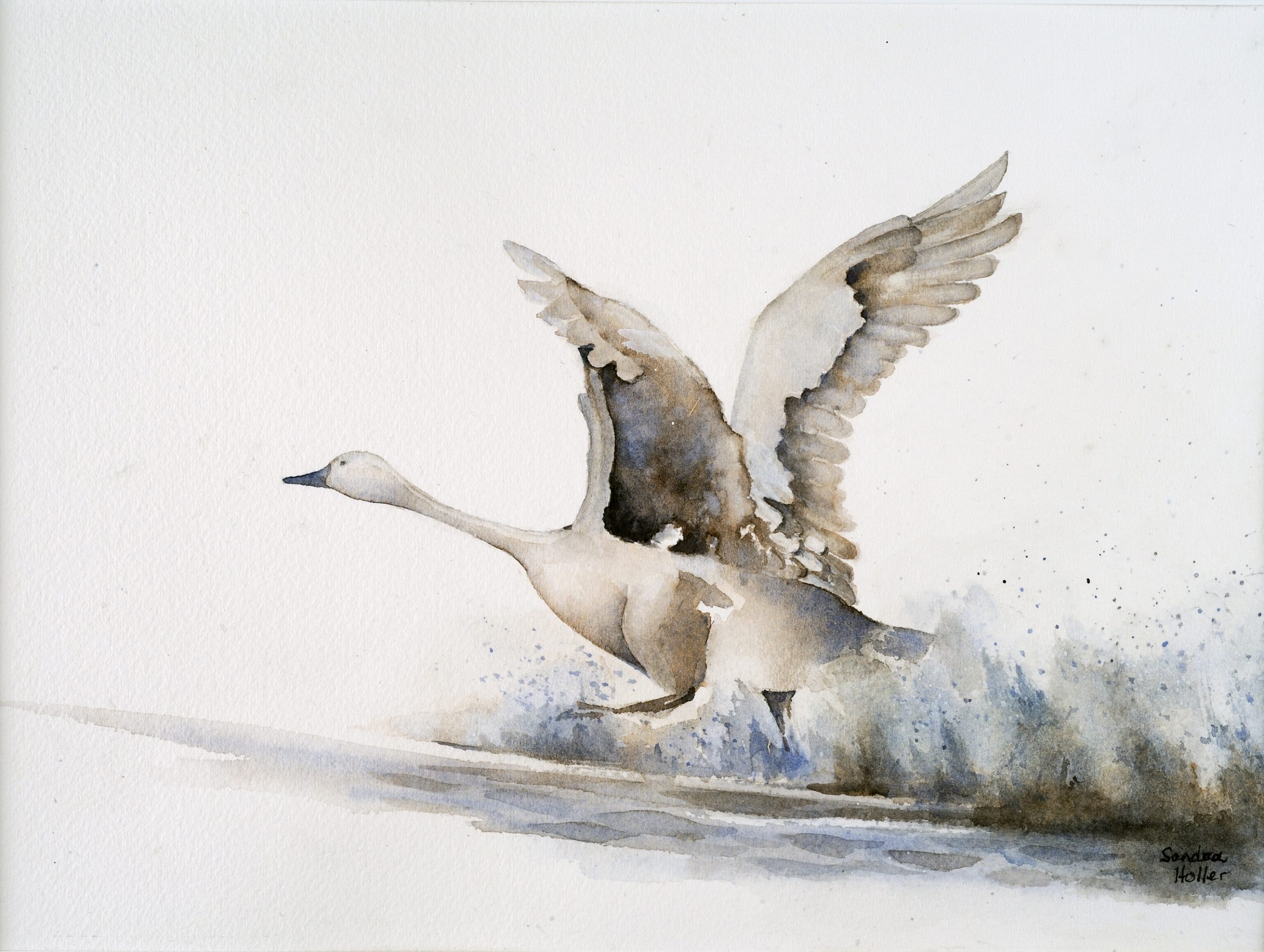 Online Exhibits | Art League of Ocean City MD | Center for the Arts